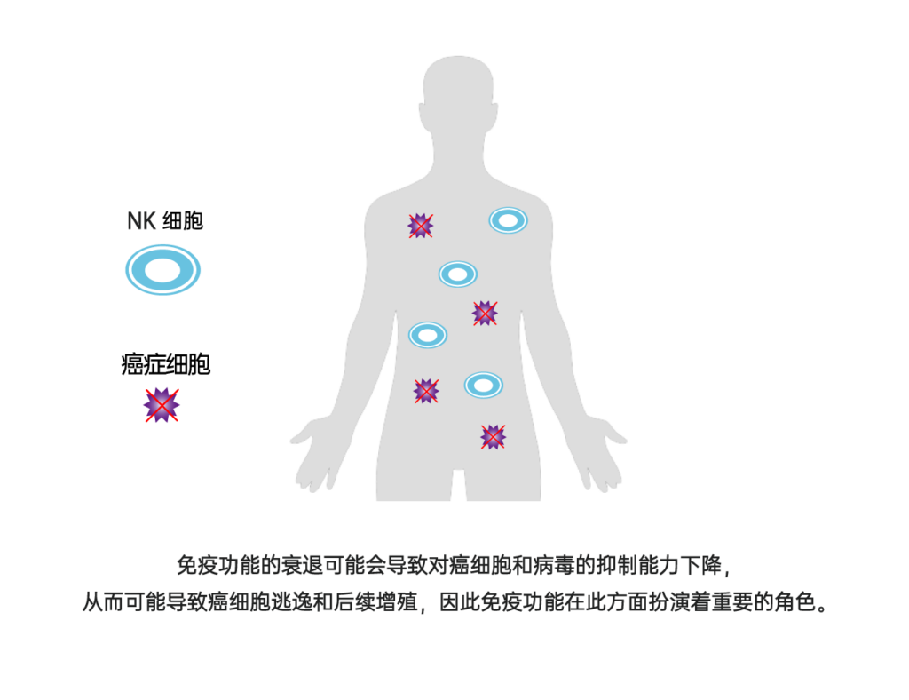 超级NK细胞治疗